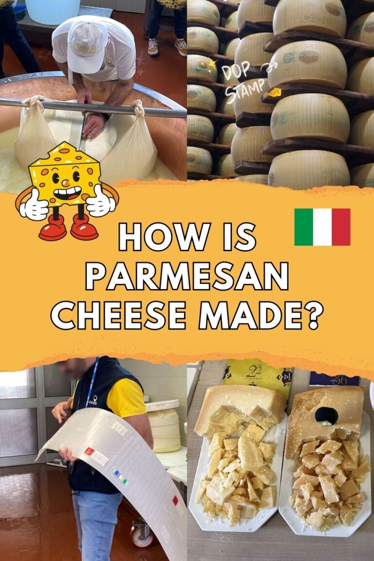How Parmesan Cheese is Made (Parmigiano Reggiano Making)