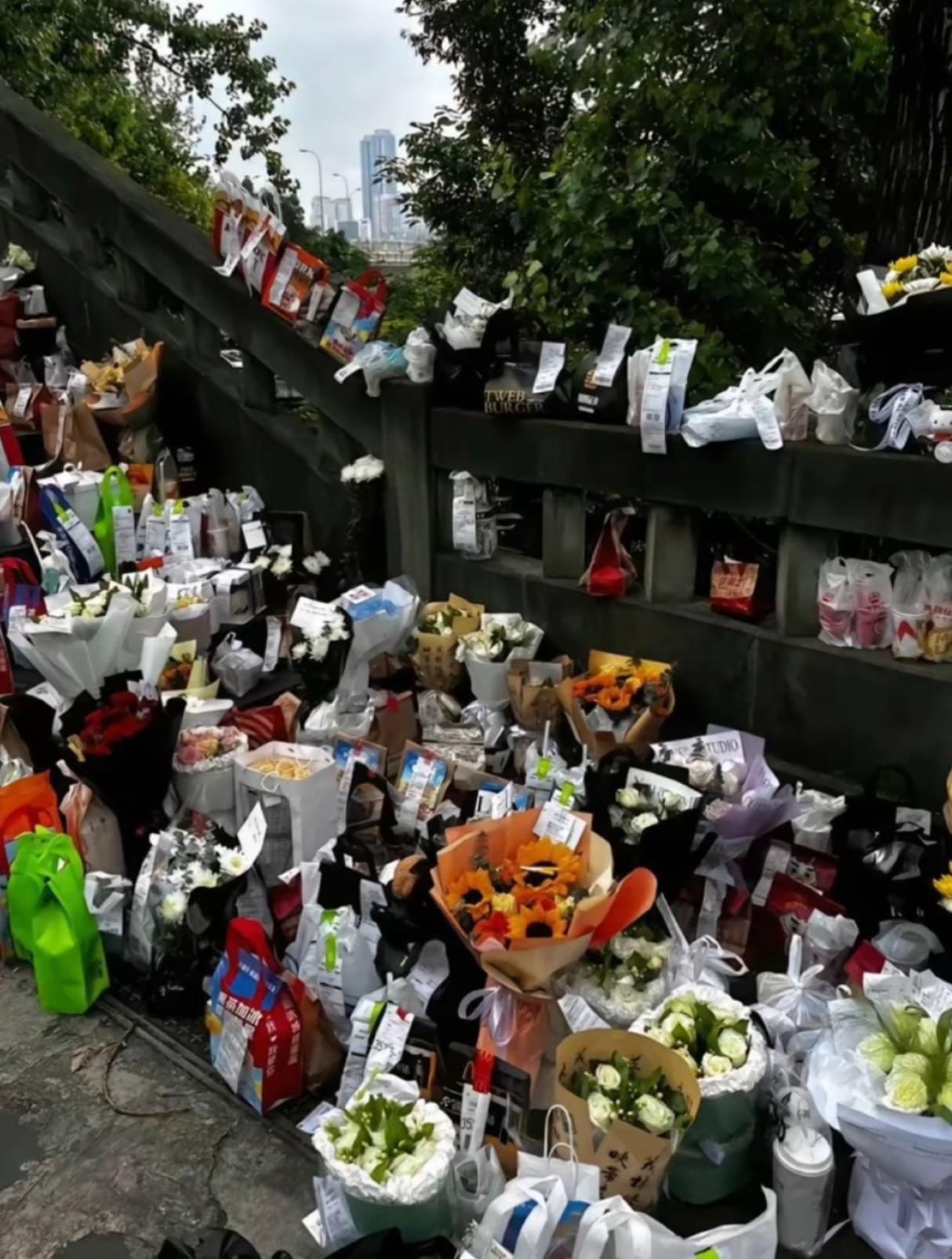 What Happened to Fat Cat (胖猫) and Tan Zhu? - Sarah Strawberry 🍓