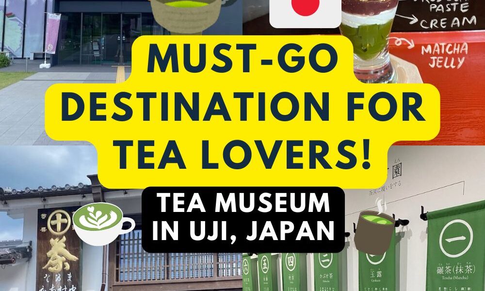 Japanese Tea Museum: The Best Green Tea is in Uji - Sarah Strawberry 🍓