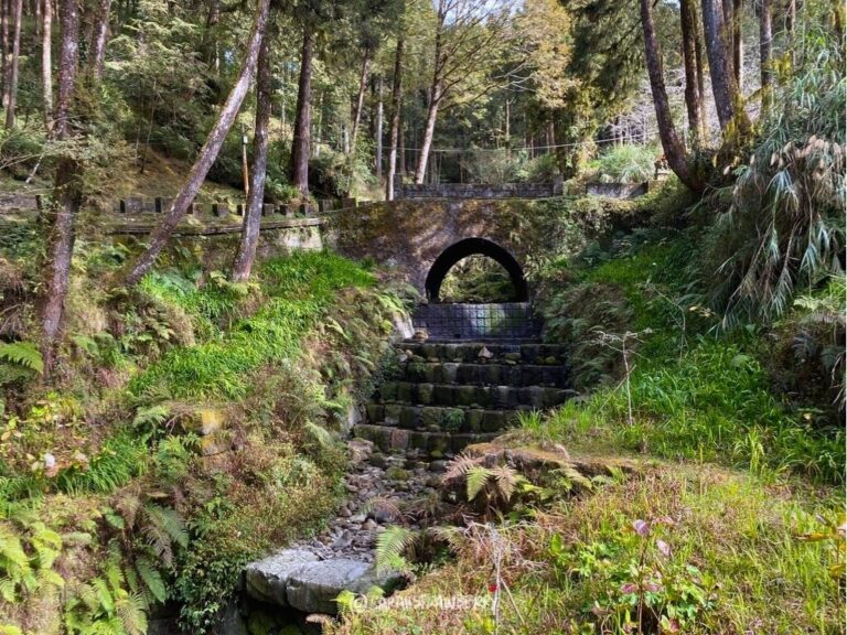 Alishan National Scenic Area: Taiwan 2025 Trip Guide - Sarah Strawberry 🍓